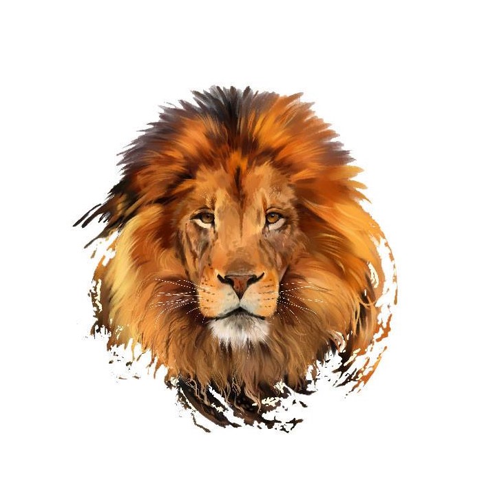 Nažehlovací obrázek - lev – Potvor - pomáhat tvořit