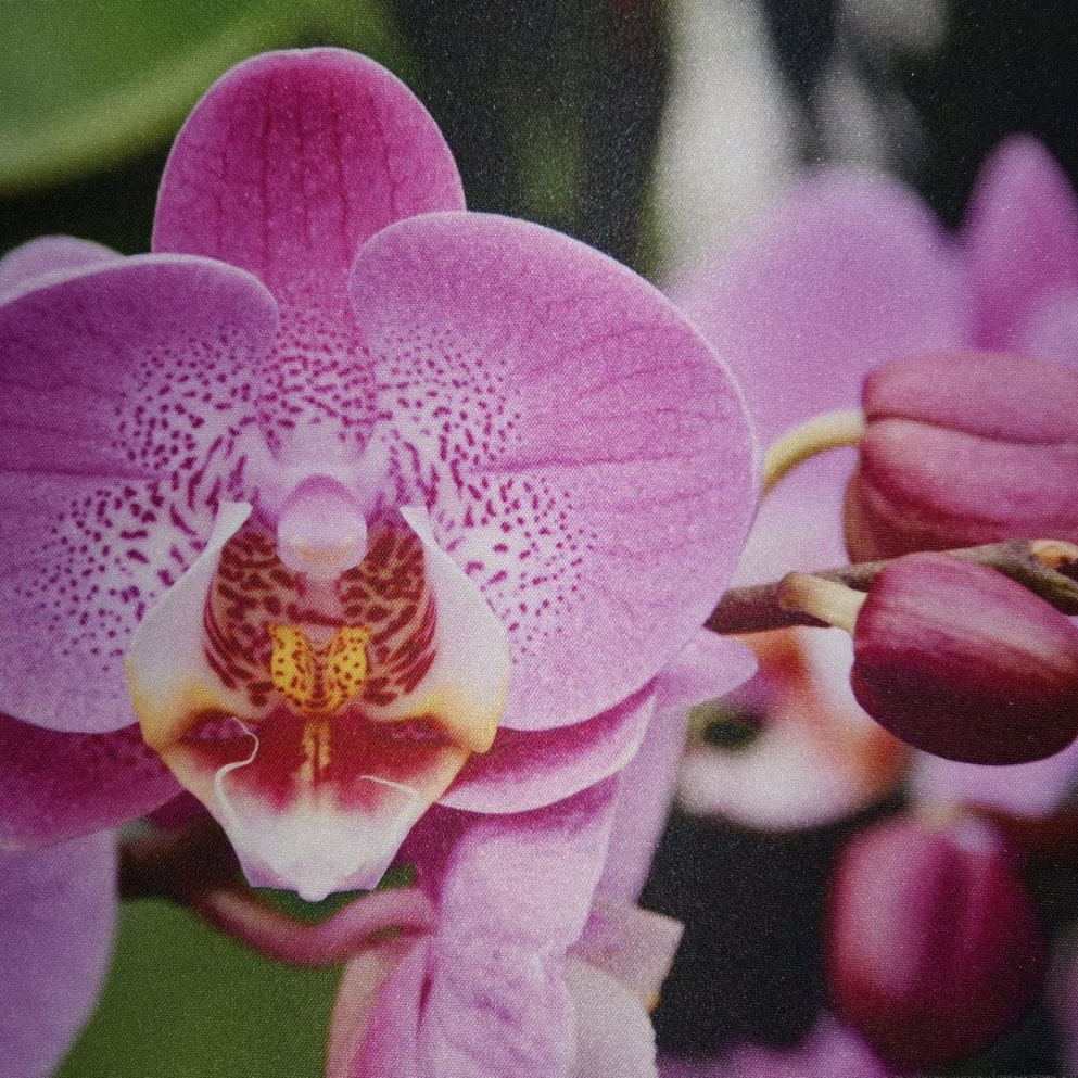 Podložka Pod Myš S Potiskem Orchidej Potvor Pomáhat Tvořit