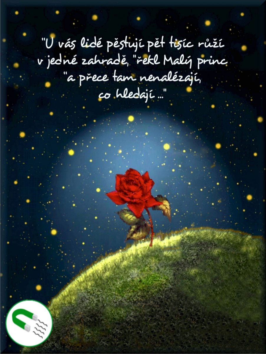 Malý princ - růže - magnetka – Potvor - pomáhat tvořit