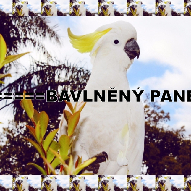 BavlnĚnÝ Panel 145 X 26 Cm Fpv133 Potvor Pomáhat Tvořit